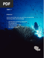 Beginner's Guide to Scuba Diving | PDF | Scuba Diving | Underwater Diving