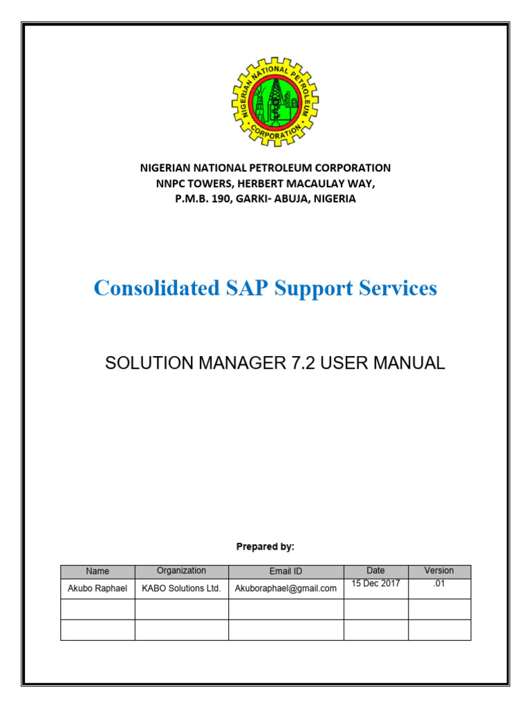 SOLMAN User Guide For Process Team PDF | PDF | Computer Science | System Software
