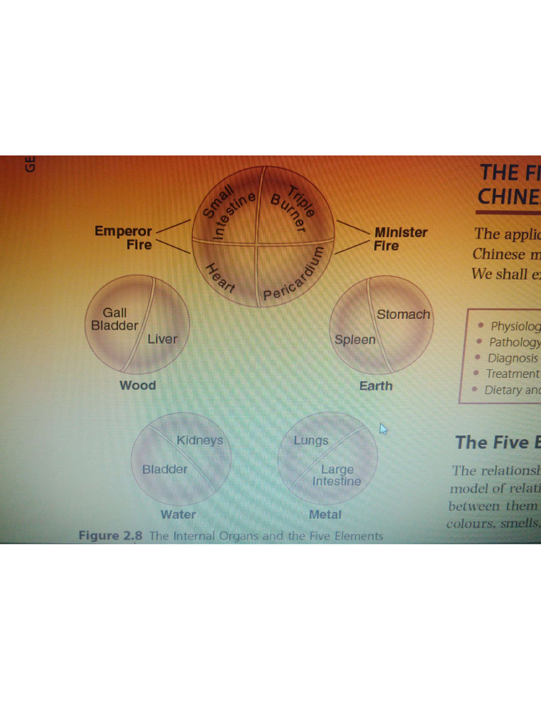 5 Elements Clinical Application | PDF