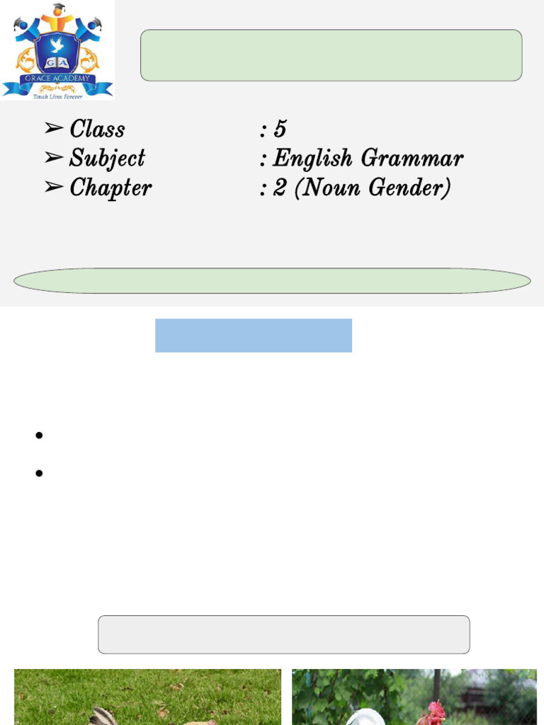 Class 5 English Grammar Chapter 2 Noun Gender 2021 | PDF | Grammatical Gender | Noun