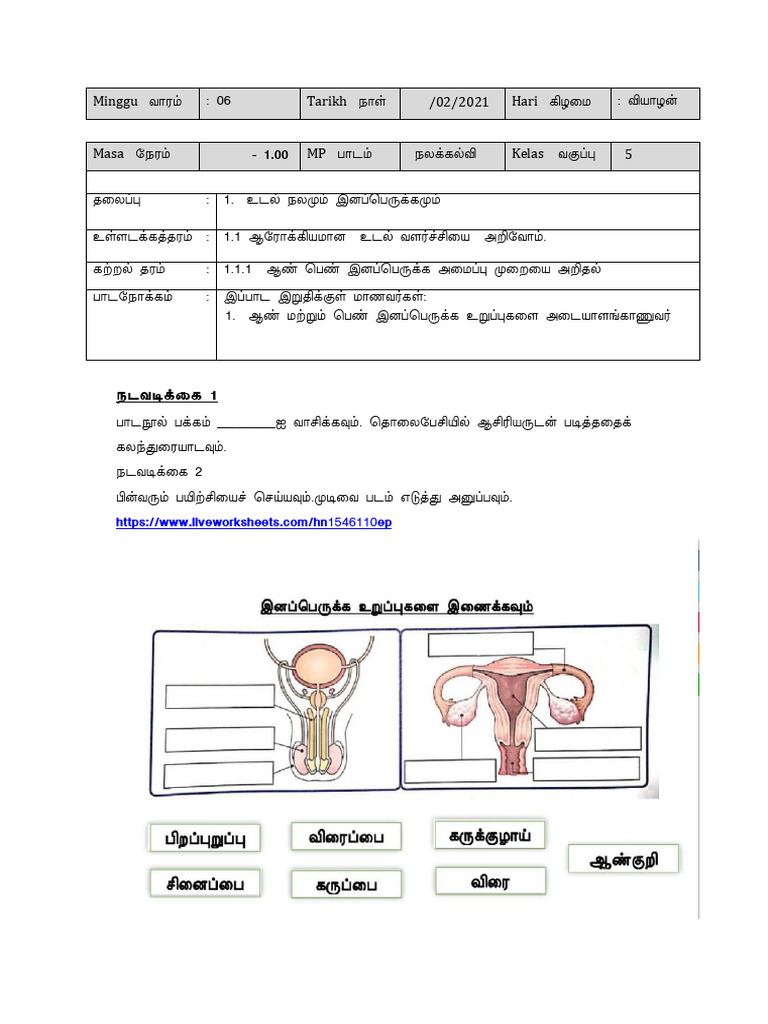 Modul 25.02.2021 Y5 PK | PDF