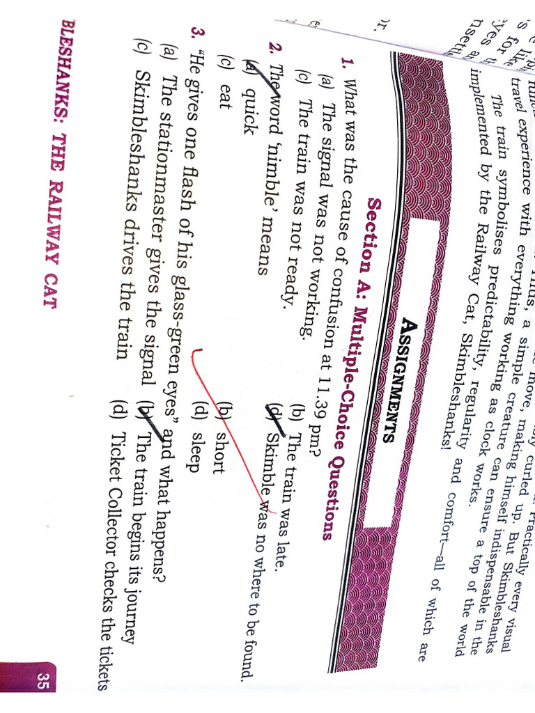 Skimbleshanks The Railway Cat Notes | PDF