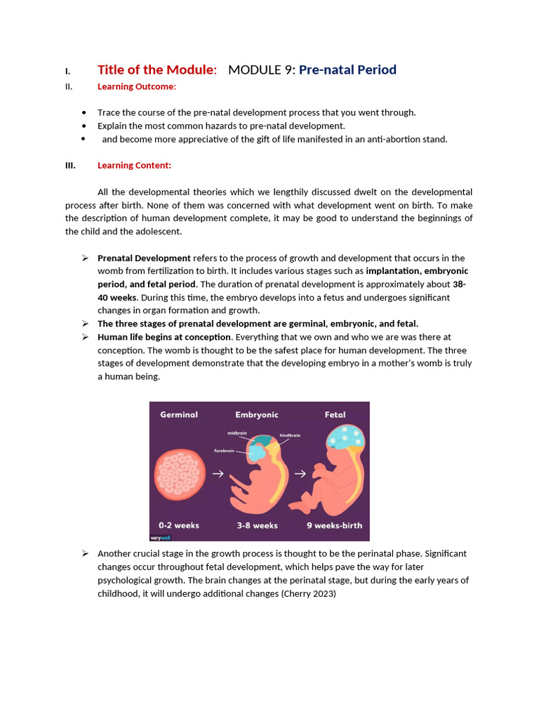 Final Module 9 Prenatal Development - Activity 2 | PDF | Embryo ...