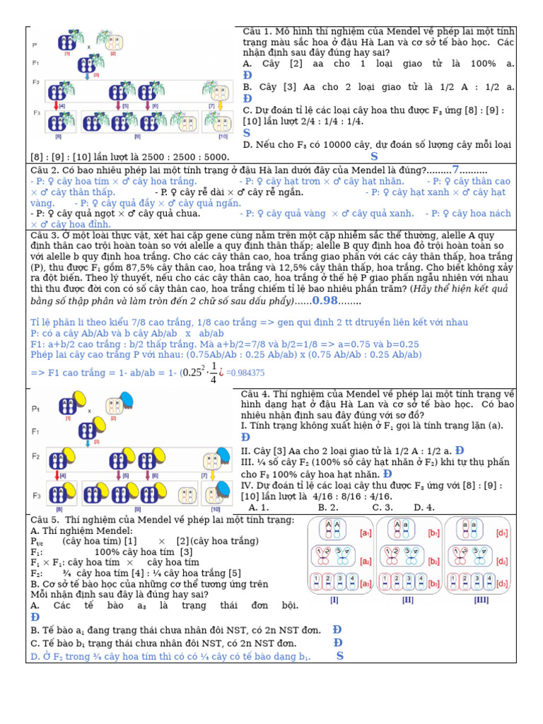 HSG - 2025 - QLPL (HS) | PDF