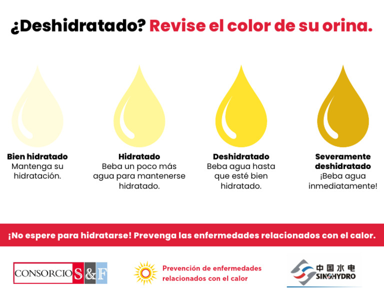 Revise El Color de Su Orina | PDF