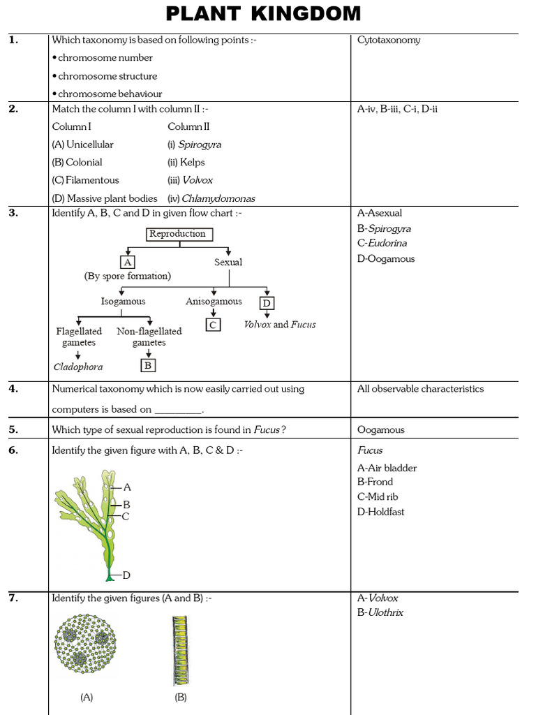 Plant Kingdom | PDF | Reproduction | Plants