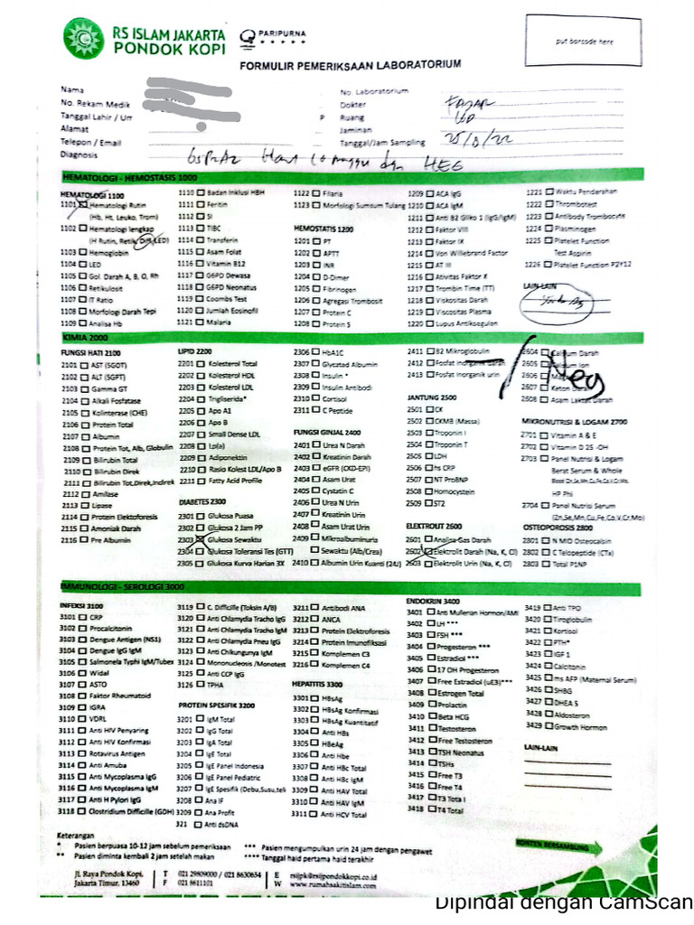 form lab rsijpk dan form ro | PDF