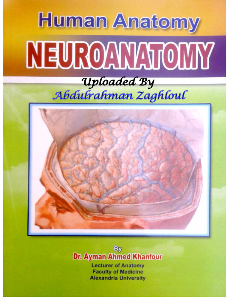 Neuroanatomy DR Ayman Khanfour - @medicine - Way PDF | PDF