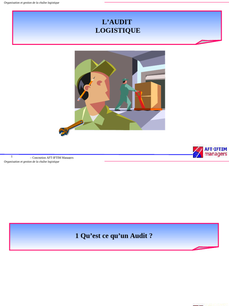 L'Audit logistique | PDF | Audit | Logistique