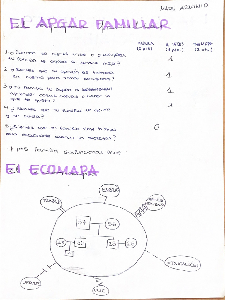 ACT Maru Arminio | PDF