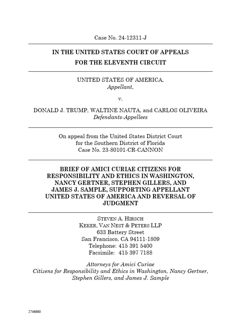 James Sample Amicus Brief Case No 24 - 12311 - J | PDF | Special Master ...