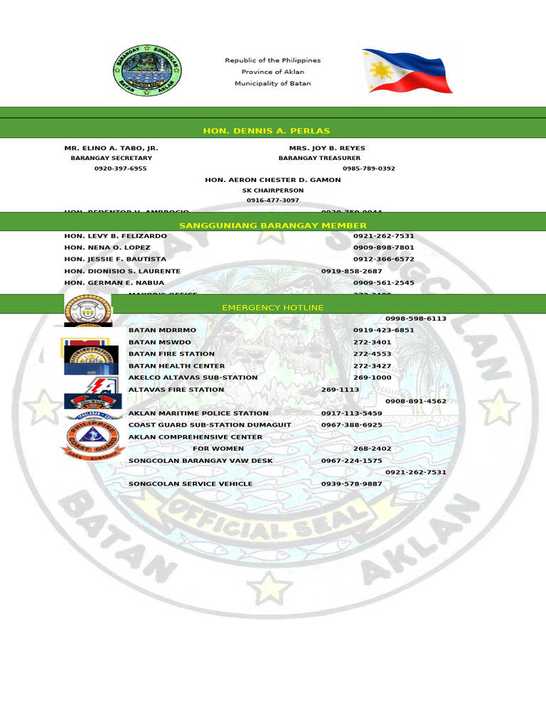 Barangay Organizational Structure | PDF