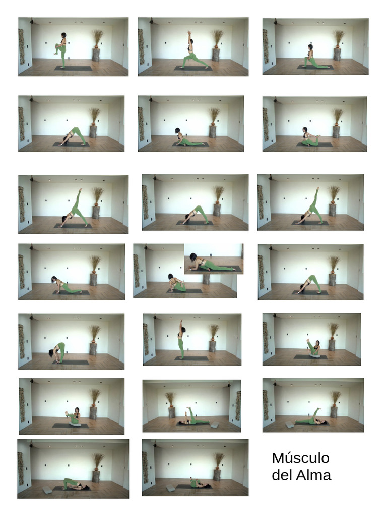 Mus Culo Del Alma Yog | PDF