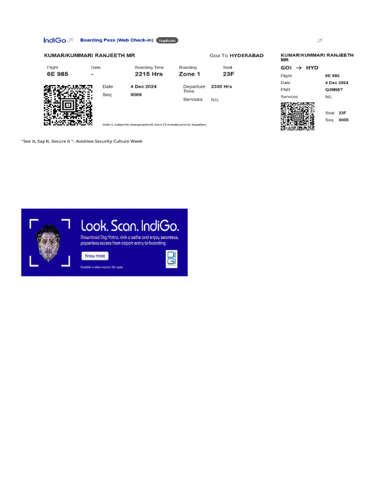 Boarding Pass | PDF
