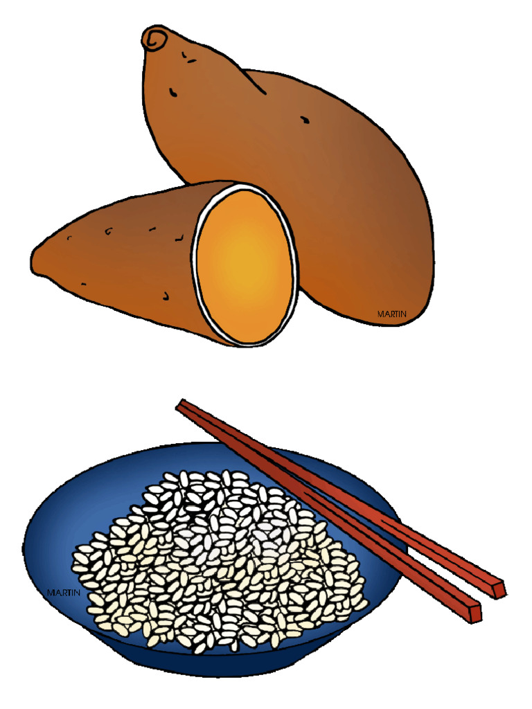 Go Grow And Glow Foods Pdf