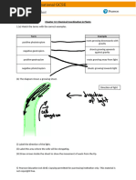 GCSE Microscopy Revision Questions | PDF