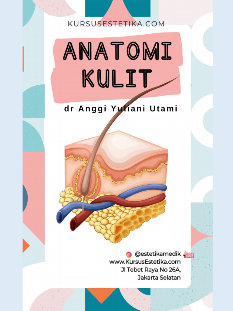Anatomi Kulit | PDF