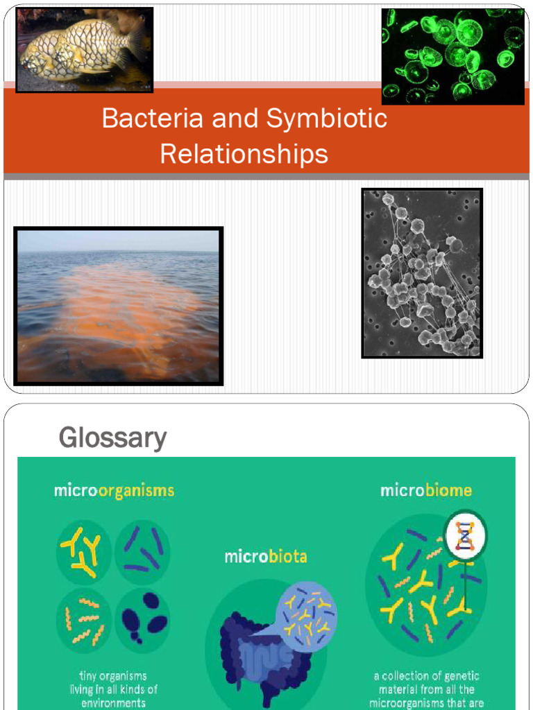 Chap_3_Microbes interactions | PDF | Microbiota | Microorganism