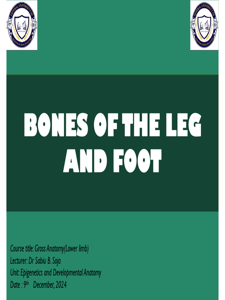 Anatomy of Leg and Foot Bones | PDF | Human Leg | Ankle