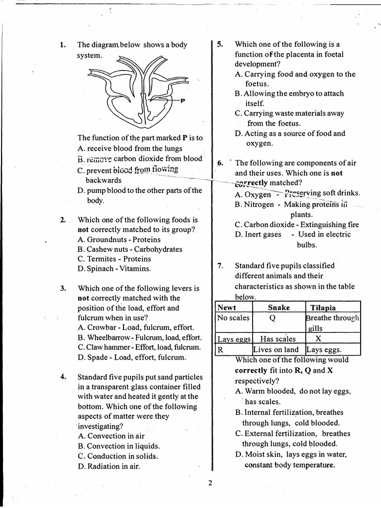 Science 2 Pdf Foods Water