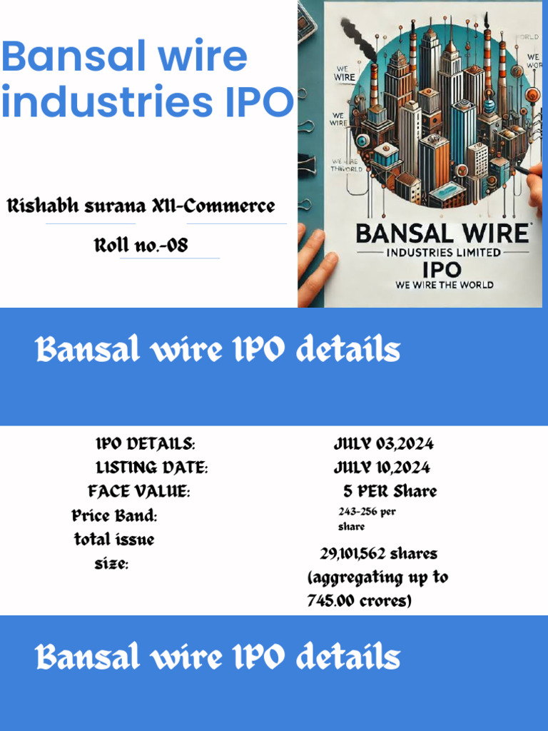 IPO Assignment Rishabh Surana | PDF