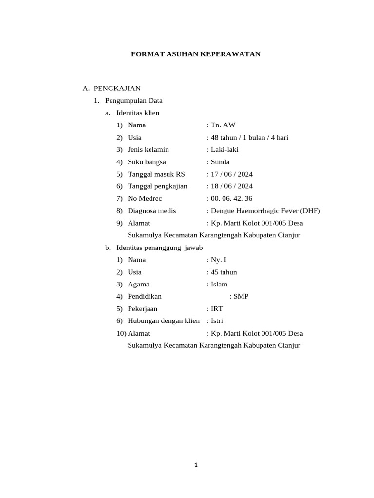 Format Asuhan Keperawatan Pasien DHF | PDF