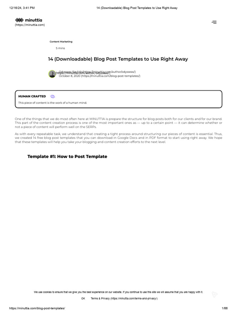 14 (Downloadable) Blog Post Templates To Use Right Away | PDF