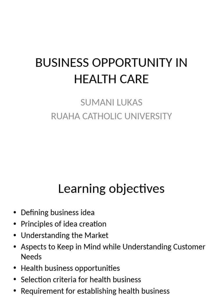 Health Care Business Opportunities Guide | PDF | Capital (Economics) | Risk