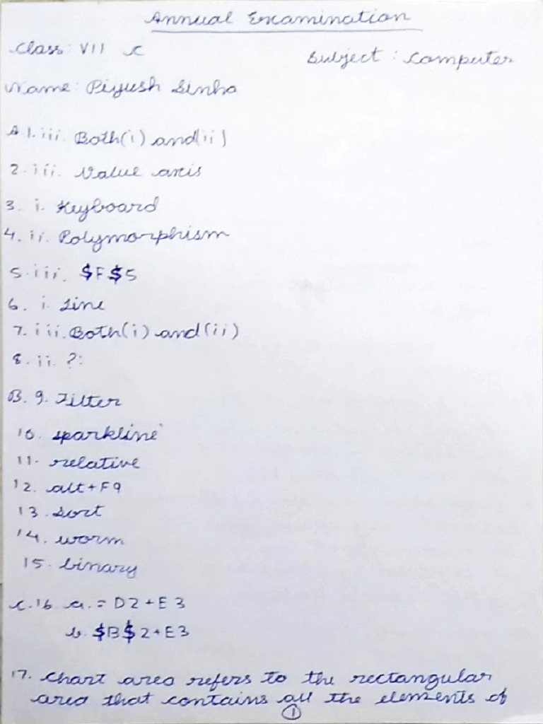 Piyush Sinha Class 7 C Computer Annual Exam | PDF