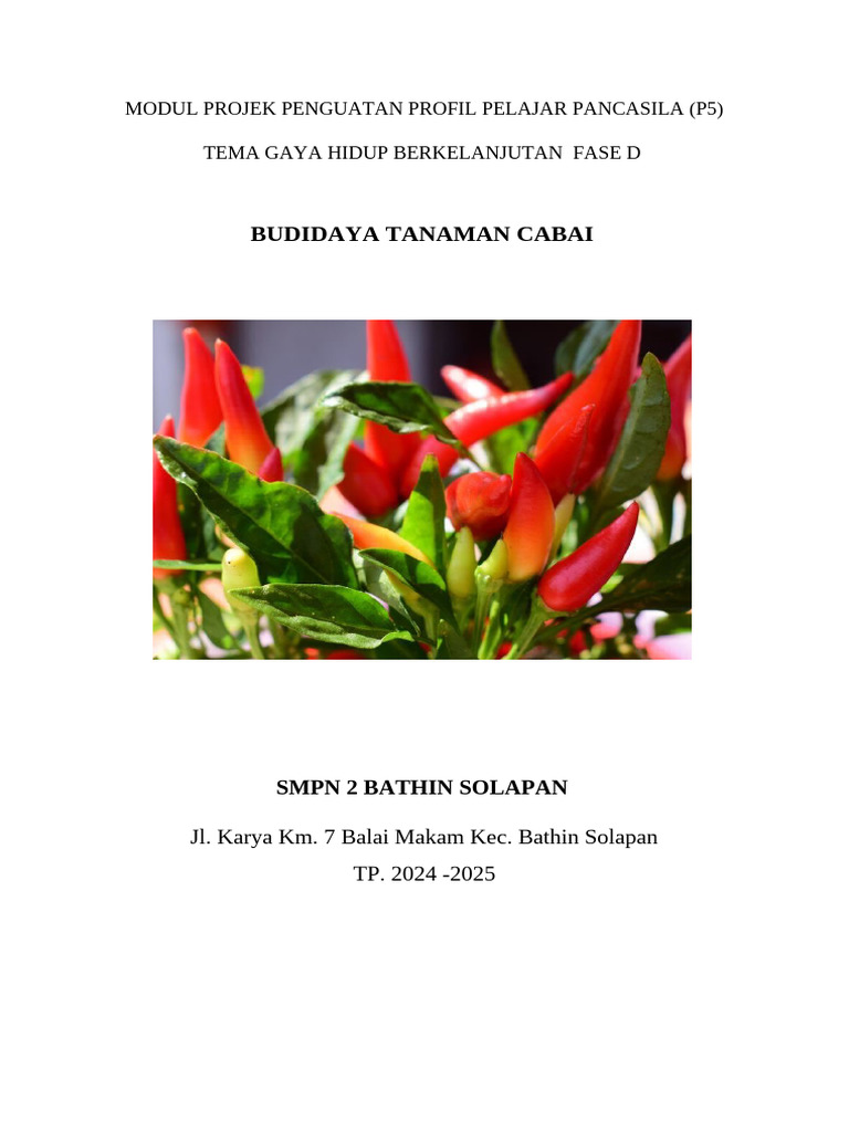 Modul Projek (P5) Budidaya Cabai | PDF