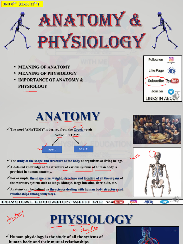 Meaning of Anatomy and Physiology, Imp | PDF | Human Body | Anatomy