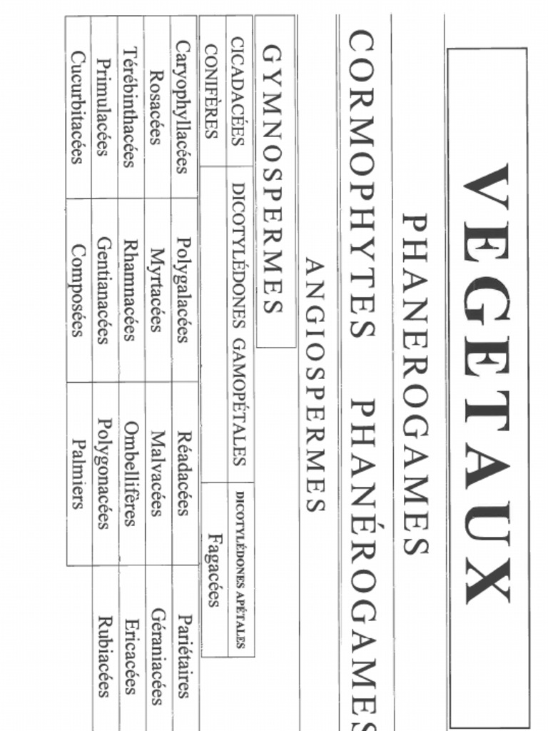 Affiche Végé | PDF