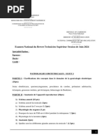 CPN : Guide de Consultation Prénatale | PDF | Grossesse | Accouchement