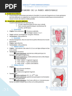 Anatomie des anses grêles et mésentère | PDF | Péritoine | Spécialités ...