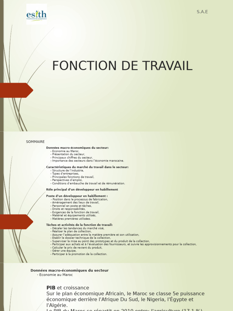 Fonction de Travail | PDF | Business | Mode