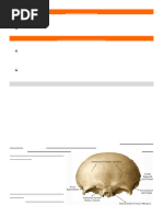 1 Region Superciliar | PDF | Cráneo | Anatomía humana