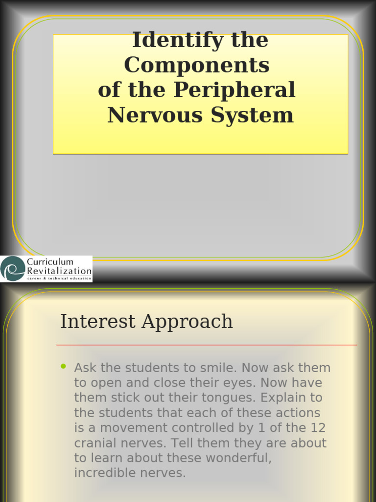 Components of the Peripheral Nervous System | PDF | Human Anatomy ...