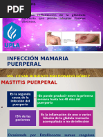 Mastitis y Absceso Mamario: Guía Clínica | PDF | Staphylococcus Aureus ...
