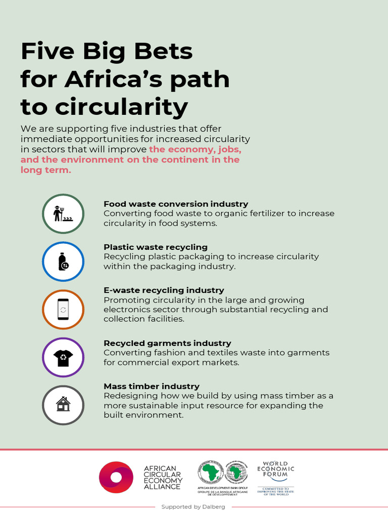 African Circular Economy Alliance - Final Infographics | PDF ...