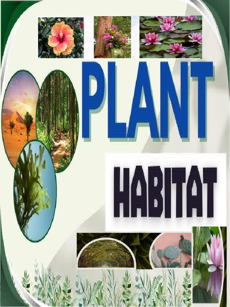 plants | PDF