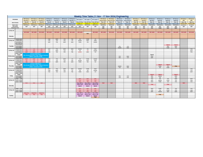 JEE Weekly Schedule Nov 2024 | PDF