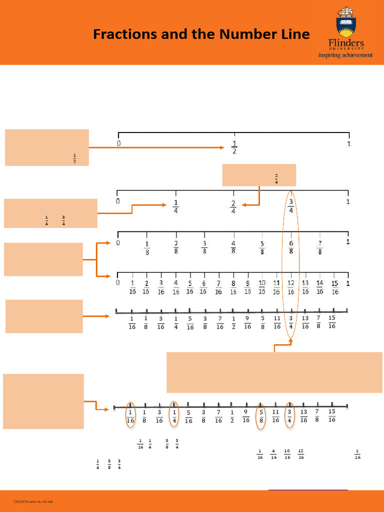 Fractions and the Number Line | PDF | Mathematics