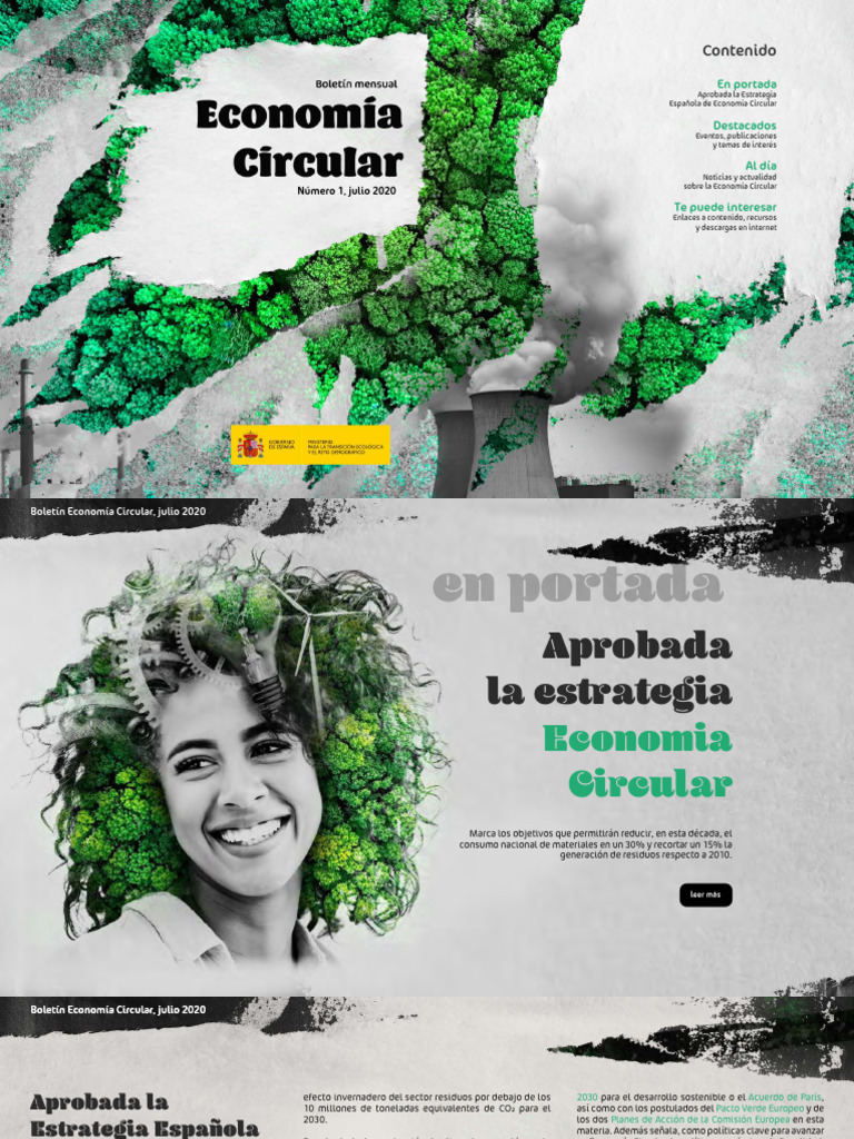 Boletin Julio 20200724 v2 Baja tcm30-510832 | PDF | Residuos | Sustentabilidad