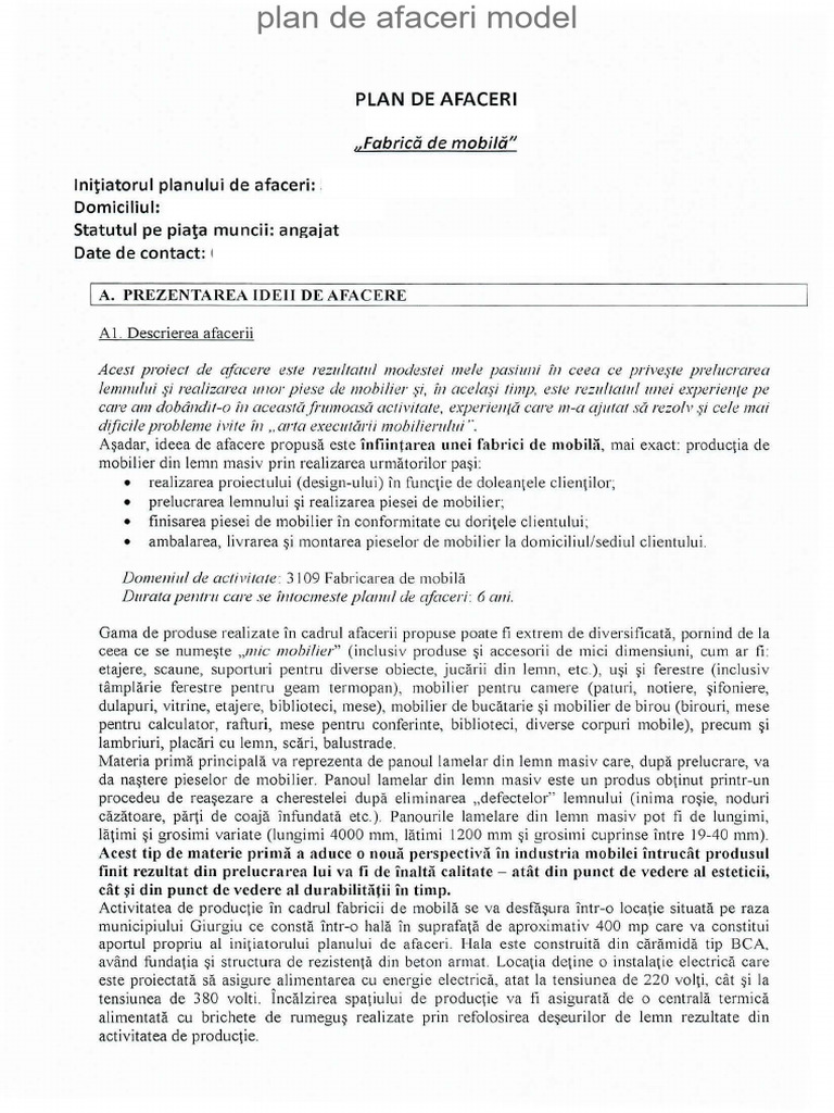 Plan de Afaceri Model Completat 1 - Fabrica de Mobila | PDF