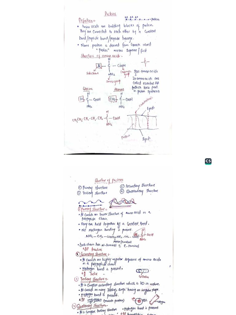 Biochem Notes by Aroosa Waheed | PDF