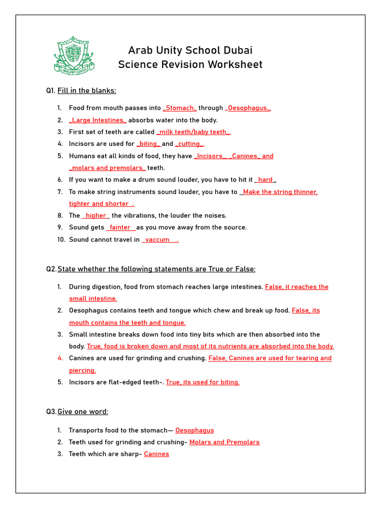 Yr 4 Term 2 Science Revision Paper - Answer Key | PDF | Tooth | Sound