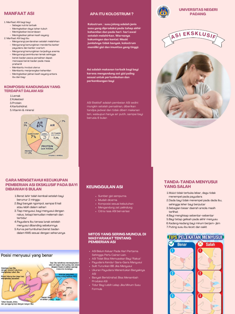 Leaflet Asi Eksklusif | PDF