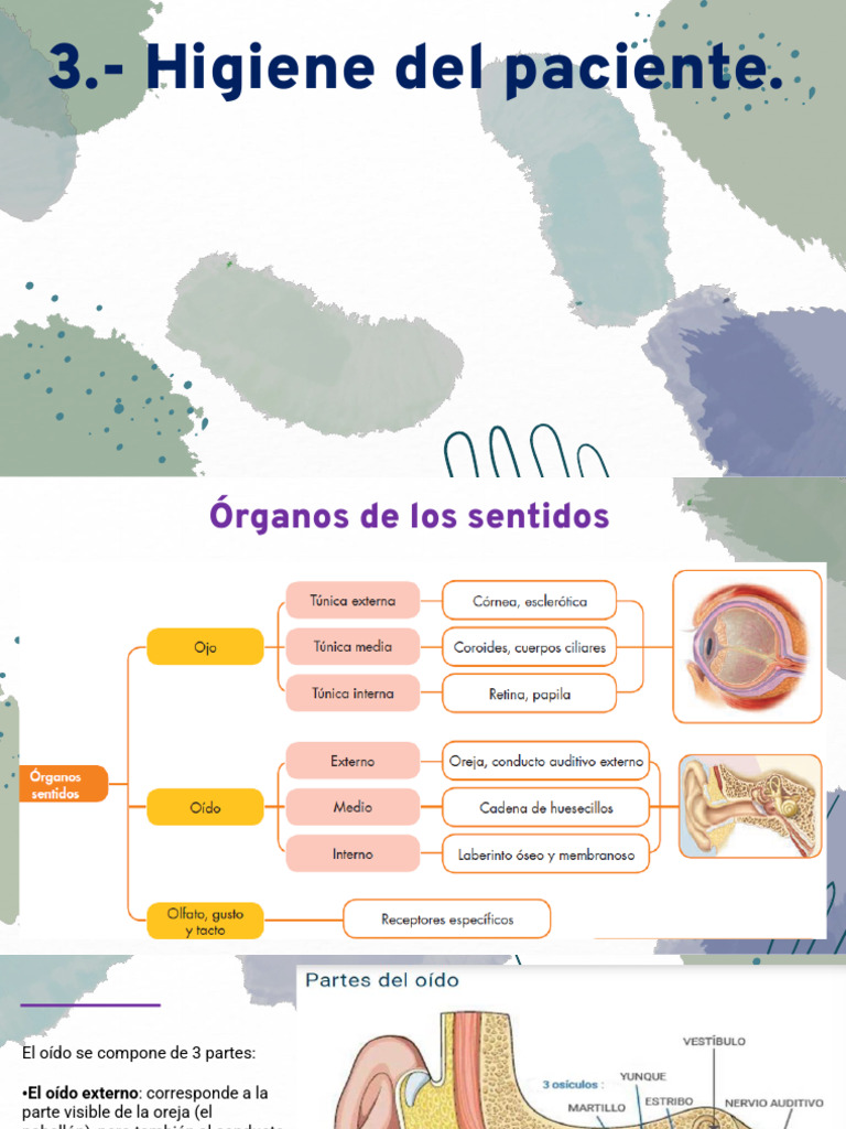 TBE 3 Higiene y Aseo Del Paciente | PDF | Ojo humano | Oído