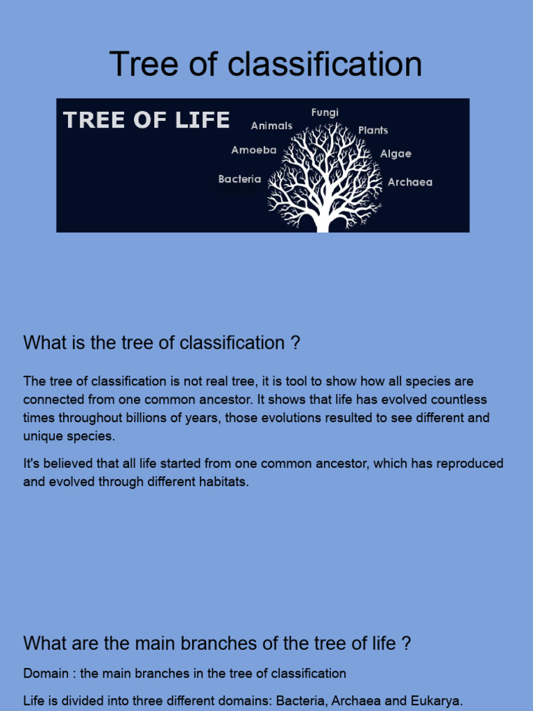 Understanding the Tree of Classification | PDF | Archaea | Life