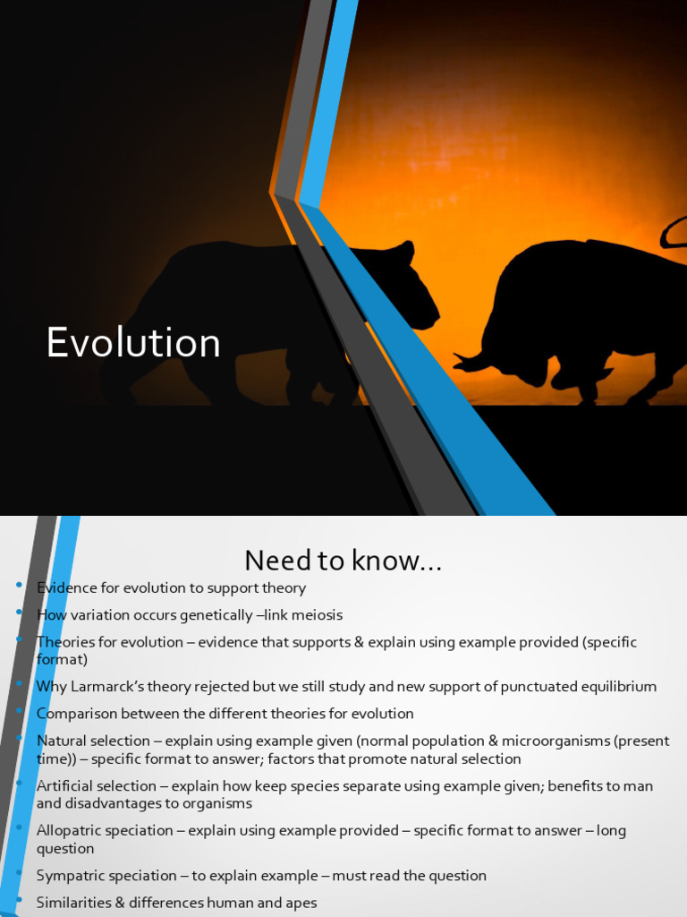 Chapter 9 and 10 Evolution- Activities | PDF | Homo | Natural Selection